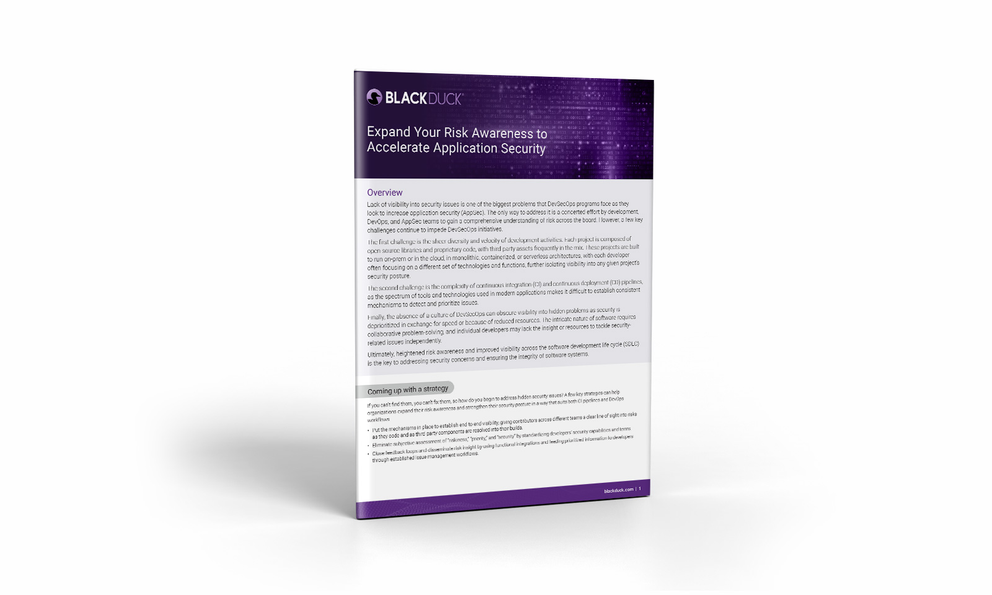 Expand risk awareness in your DevSecOps program to accelerate AppSec | Black Duck