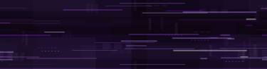 Effortless Coding With Polaris Onboard Developers Fast Black Duck Blog