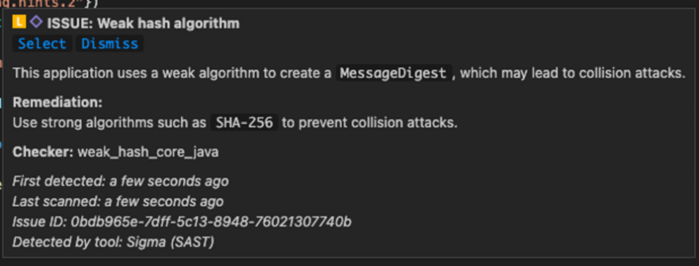 Code Sight Standard Edition: AppSec Optimized for Developers | Black ...
