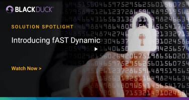 fAST Dynamic - Optimize DAST Scanning, Integration & More | Black Duck