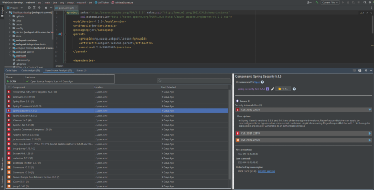 IDE-Based Application Security for Developers in IntelliJ | Black Duck Blog