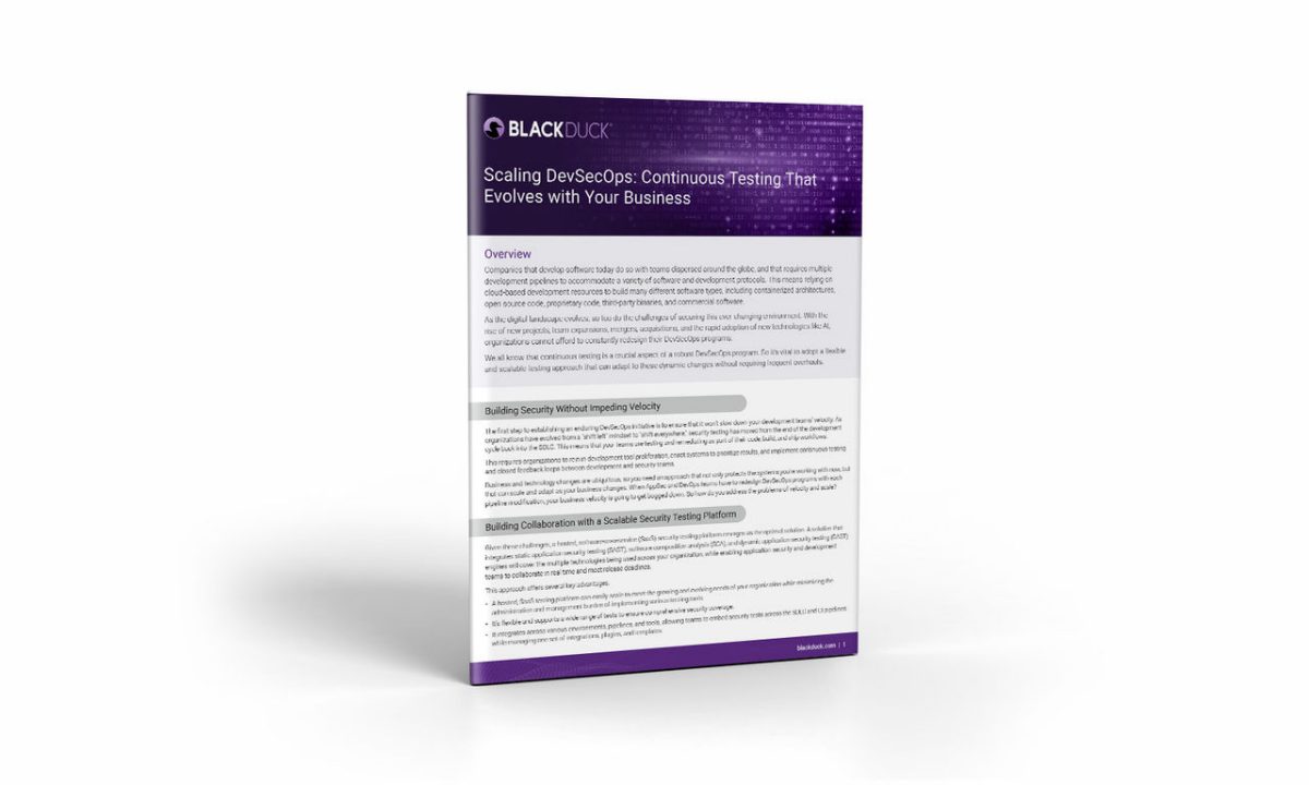 The SANS report: The dynamics of DevSecOps | Black Duck