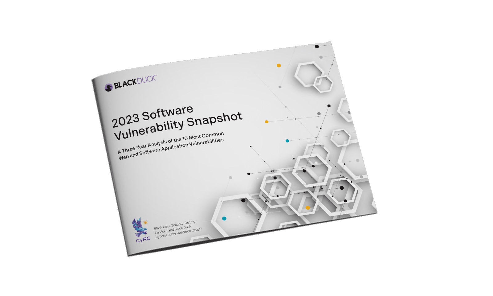 [Analyst Report] Top Software Vulnerabilities in 2023 | Black Duck