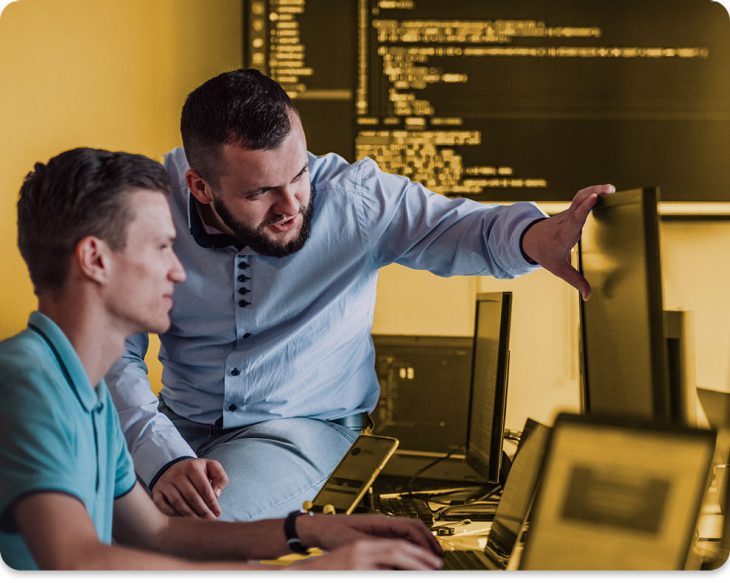 Seeker Interactive Web-Based Application Security | Black Duck